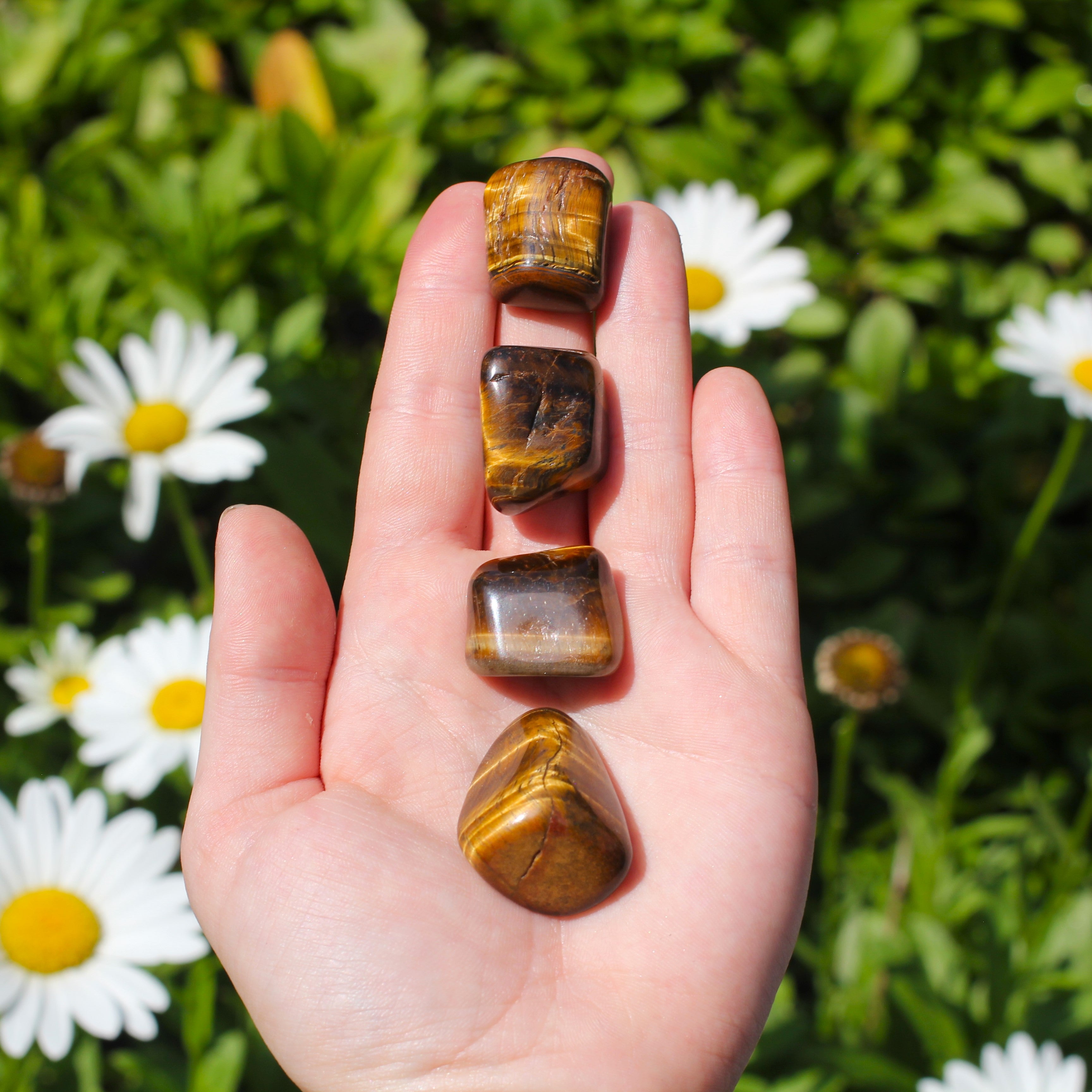 Tiger Eye Tumbled Stone – Asheville Gem Mine